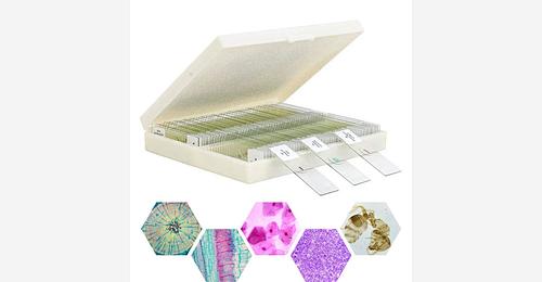 plant slide , - Ningbo Twinkle International Co., Limited